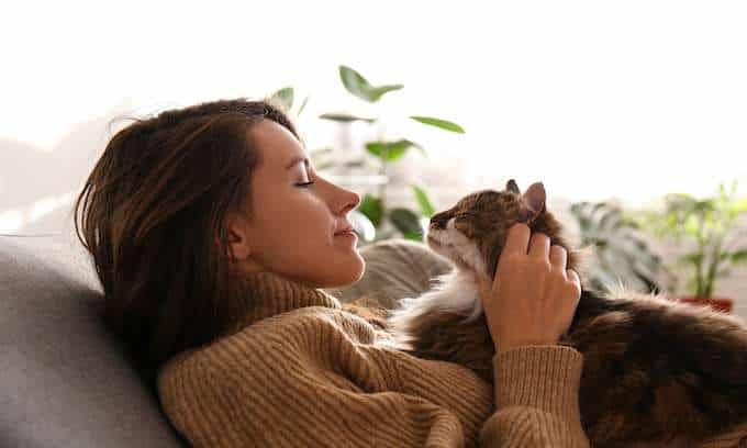 Everything You Need to Know About Emotional Support Cats