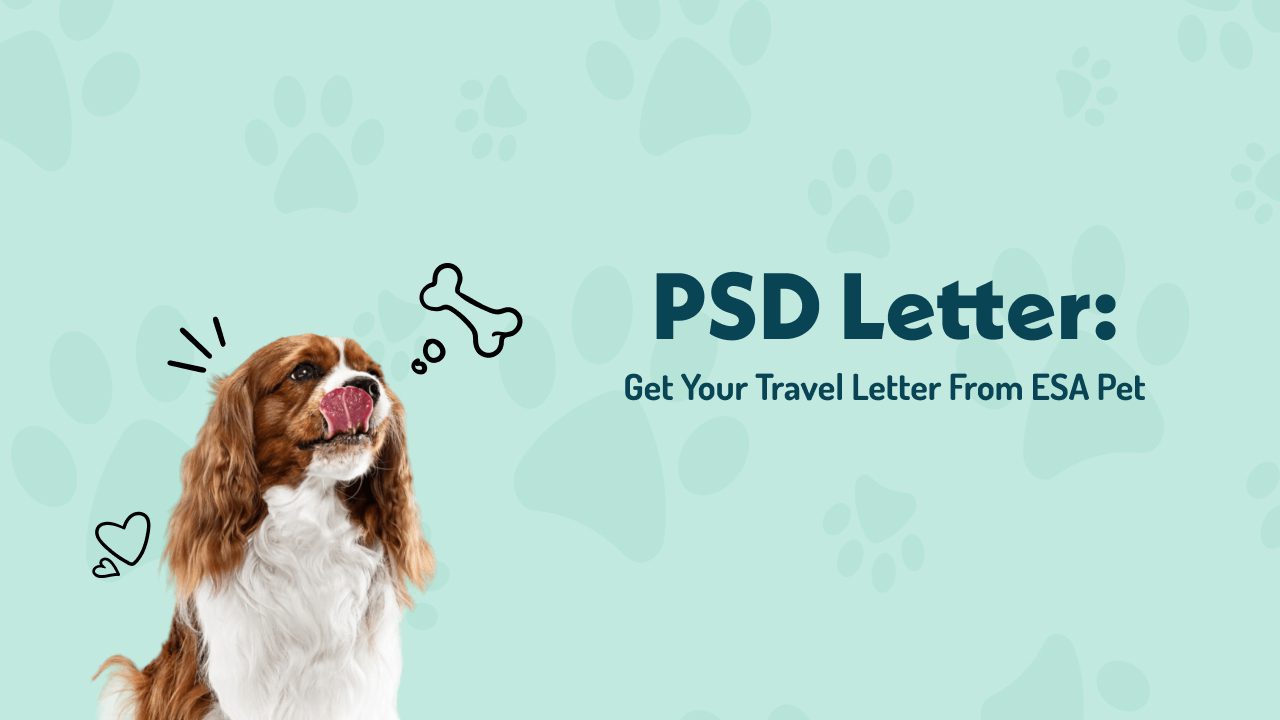 Get a Psychiatric Service Dog Letter in 3 Easy Steps