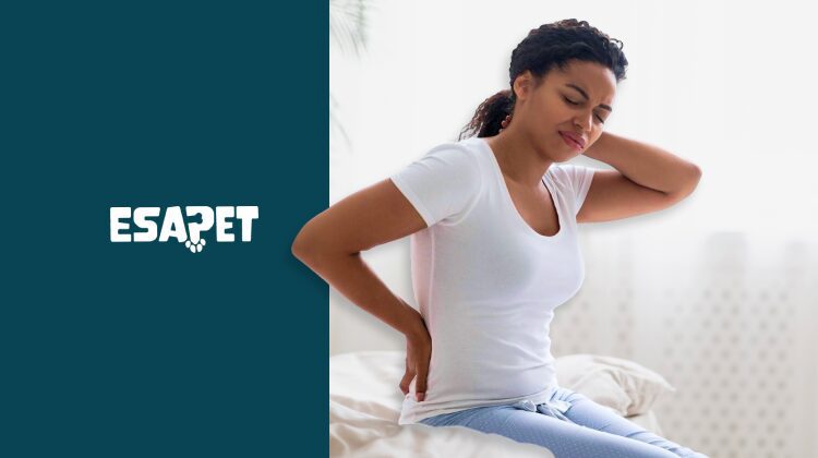 Chronic Pain Management: How ESA Pets Can Help You Find Relief | ESA Pet