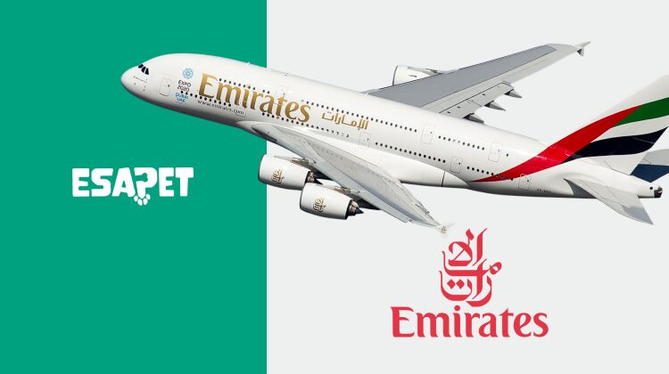 Emirates Pet Policy & Costs to Know Before Flying with Pets in 2026